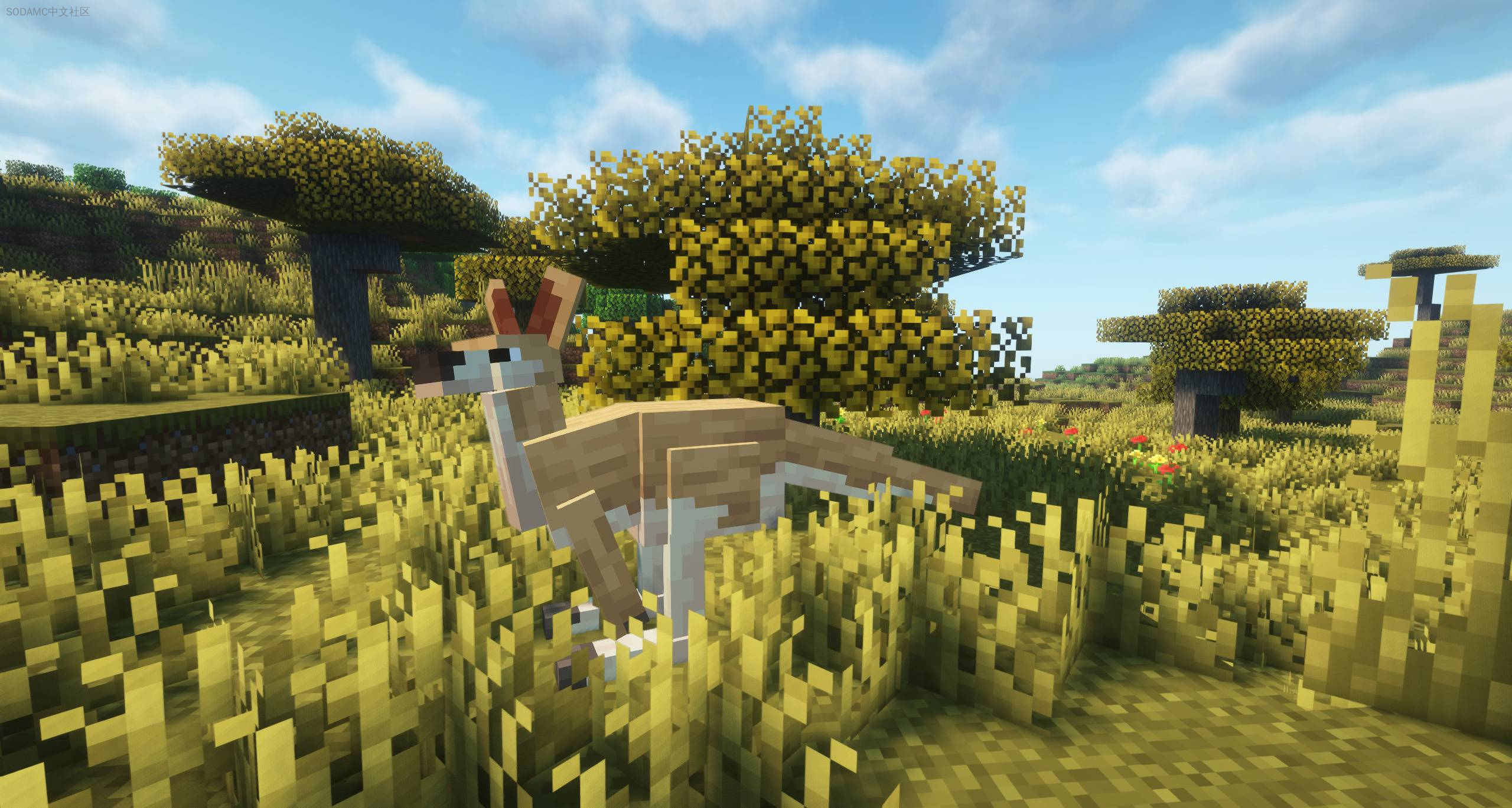 More Animals (更多动物)-整合包分享