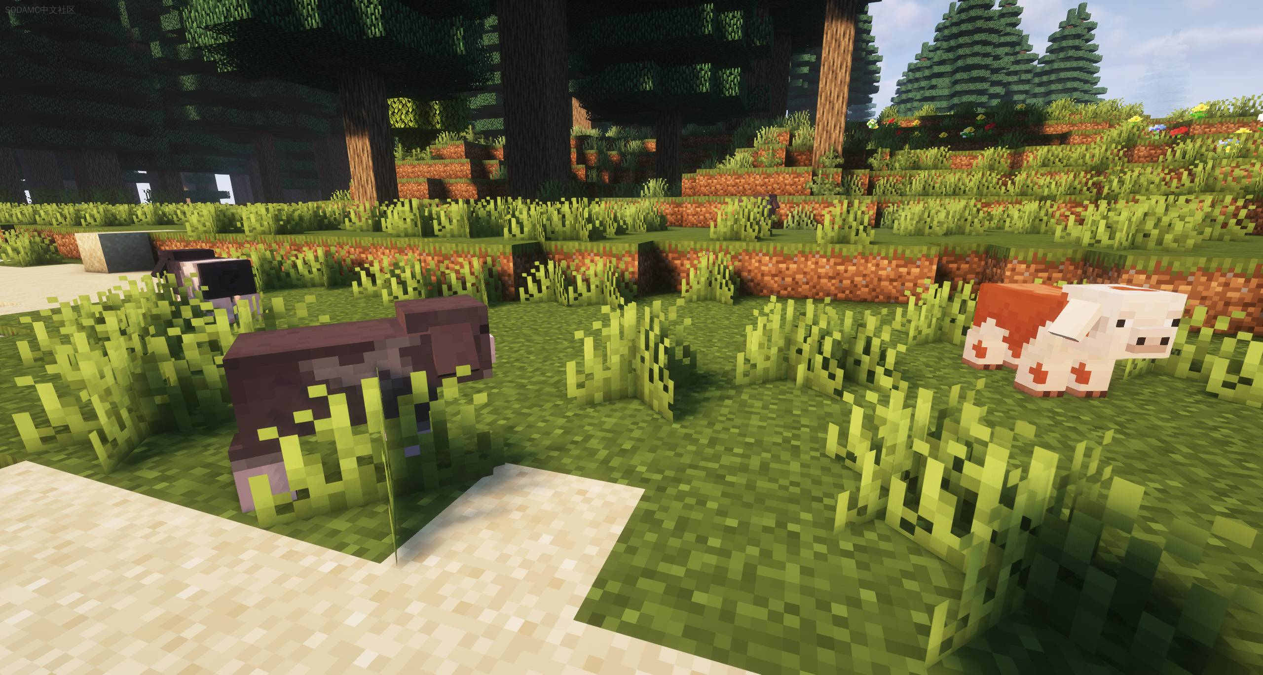 More Animals (更多动物)-整合包分享