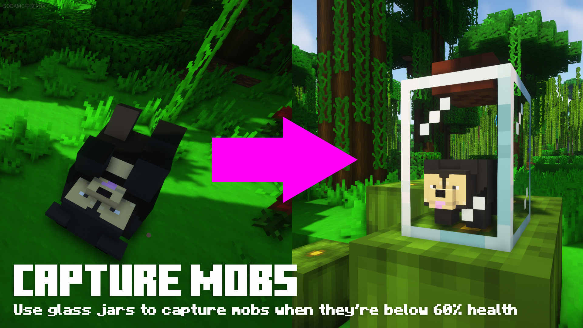 Jetpack Cat Minecraft（喷气背包猫 我的世界）-整合包分享