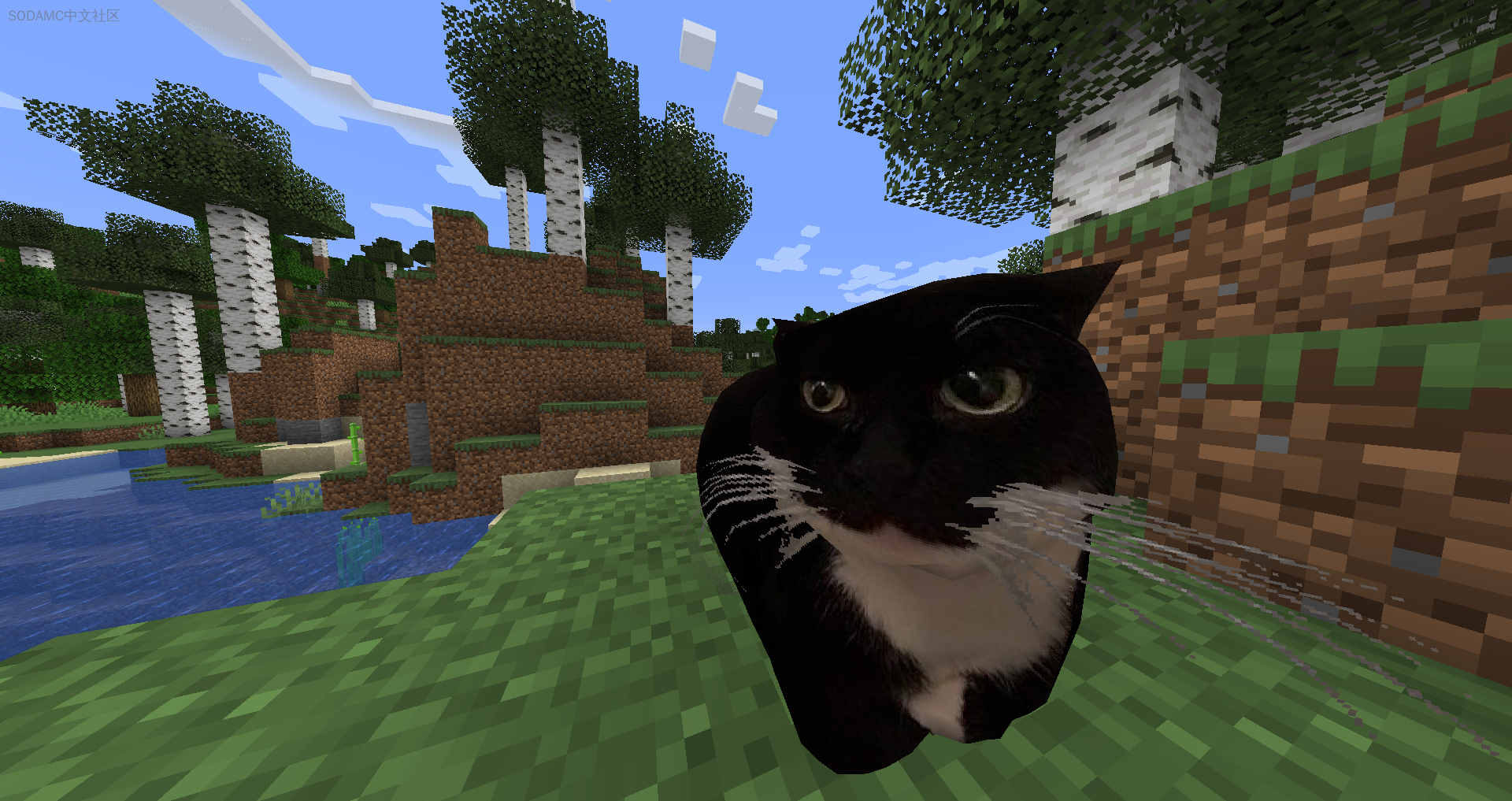 Maxwell 可放置的猫 (Maxwell the placeable cat)-MOD模组