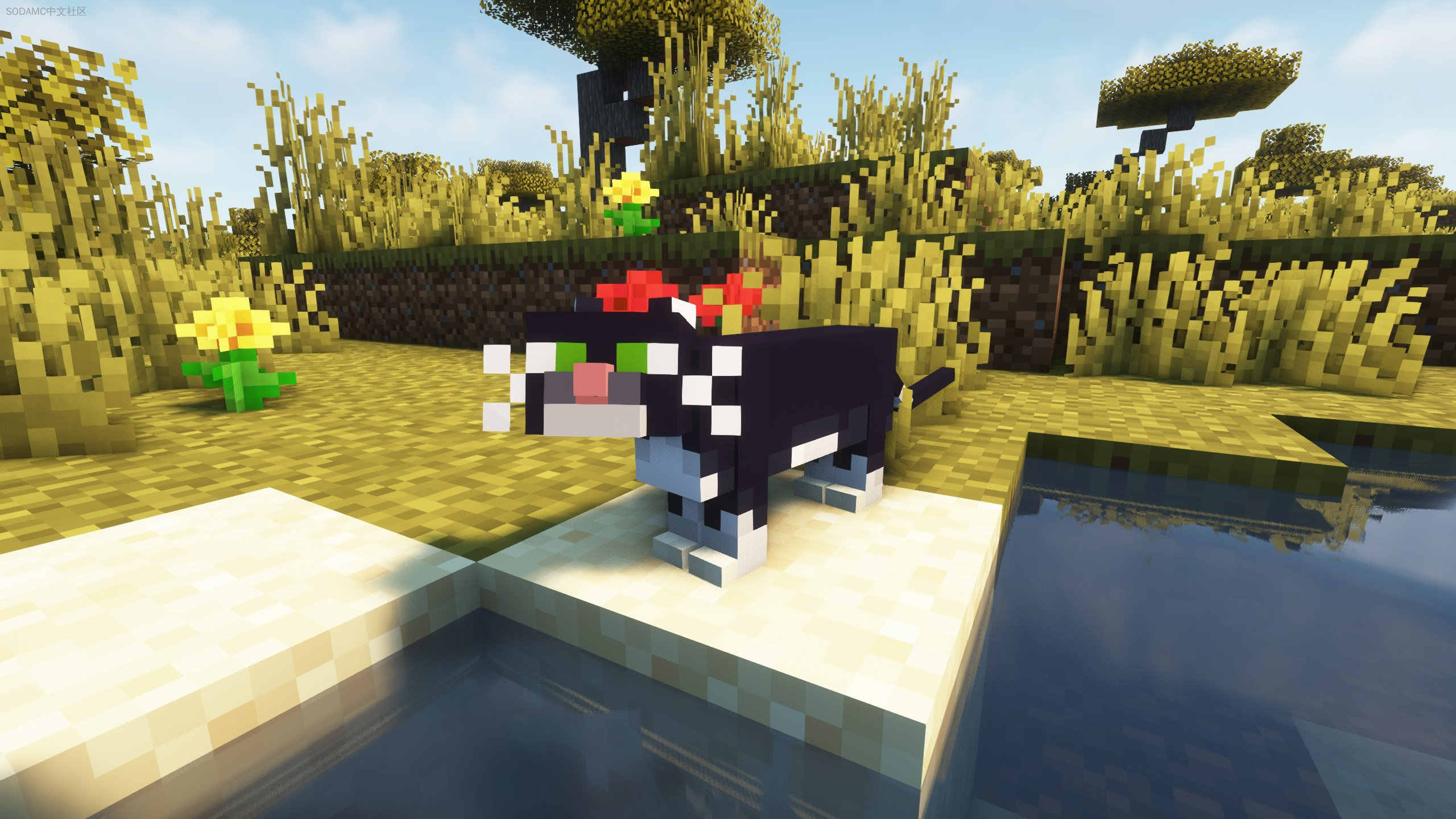 真实猫咪(Realistic Cats)-材质资源包