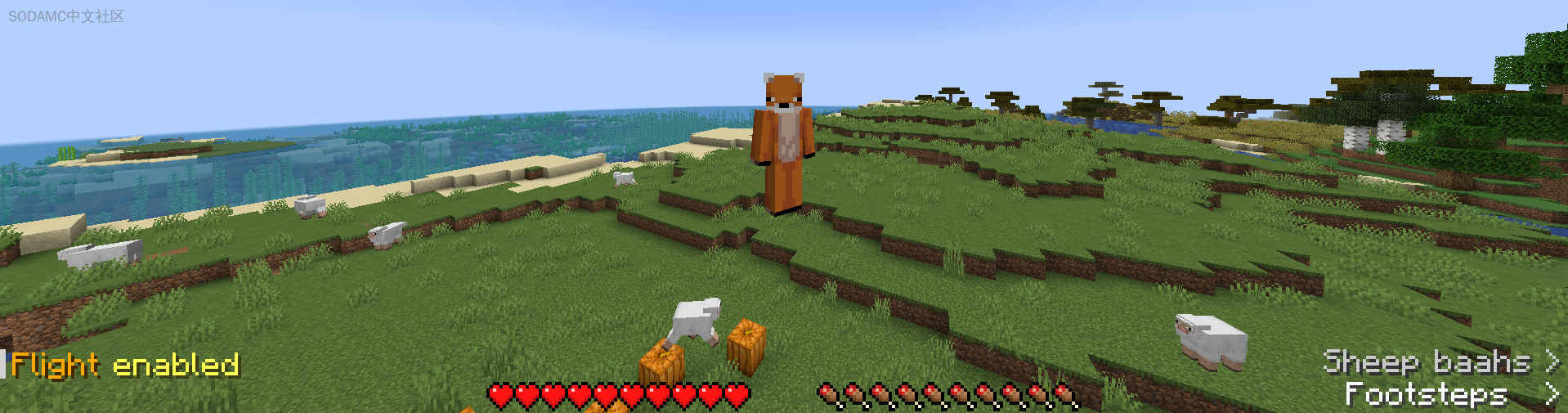 EssentialsX Commands (EssentialsX命令)-MOD模组